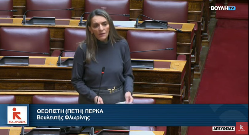 Π.Πέρκα: Η κυβέρνηση δεν θέλει να υπάρχει έλεγχος και κανόνες αλλά χάος ...